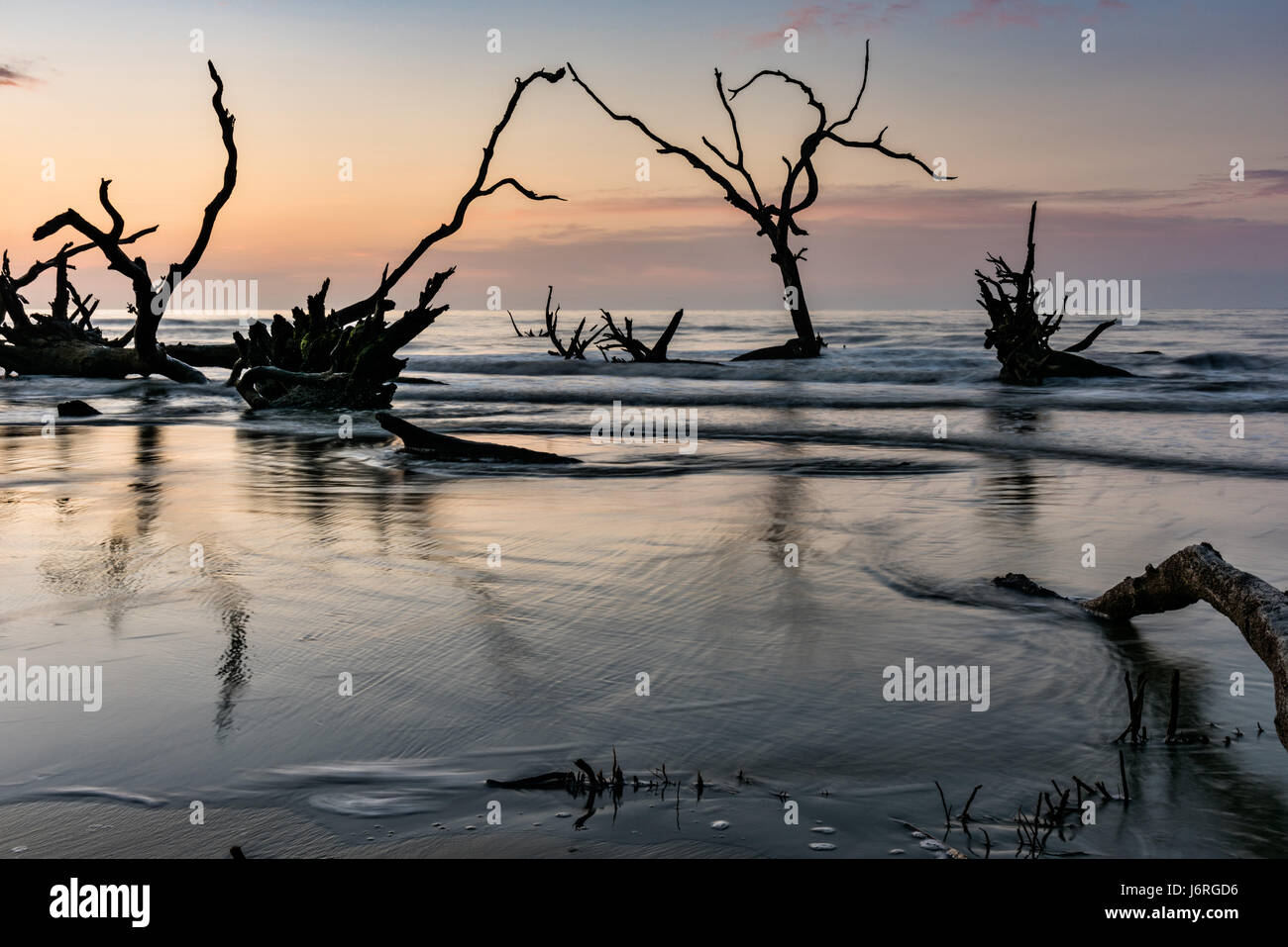 Sunrise over the Boneyard Beach on Bulls Island, South Carolina. Bulls ...