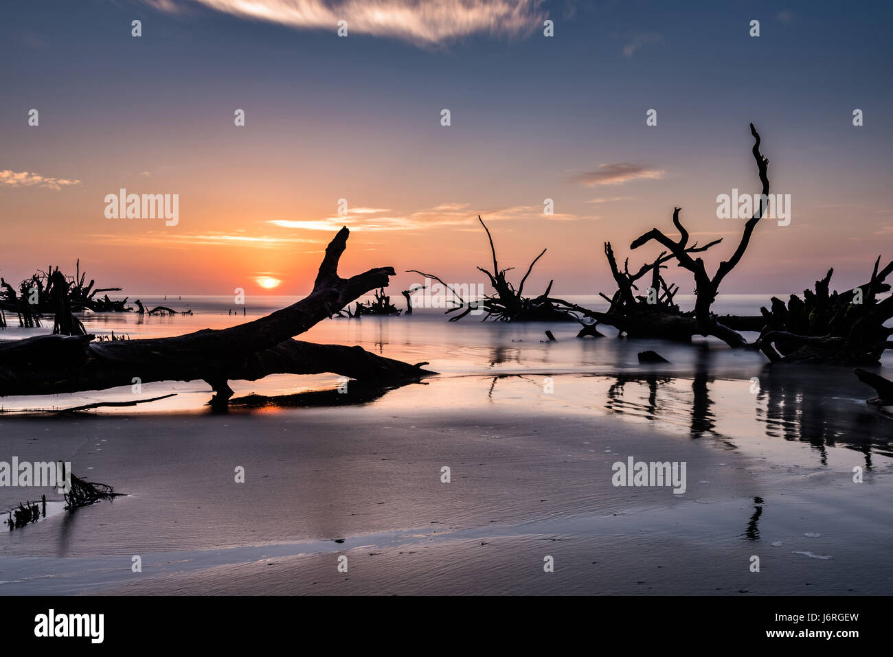 Sunrise over the Boneyard Beach on Bulls Island, South Carolina. Bulls ...