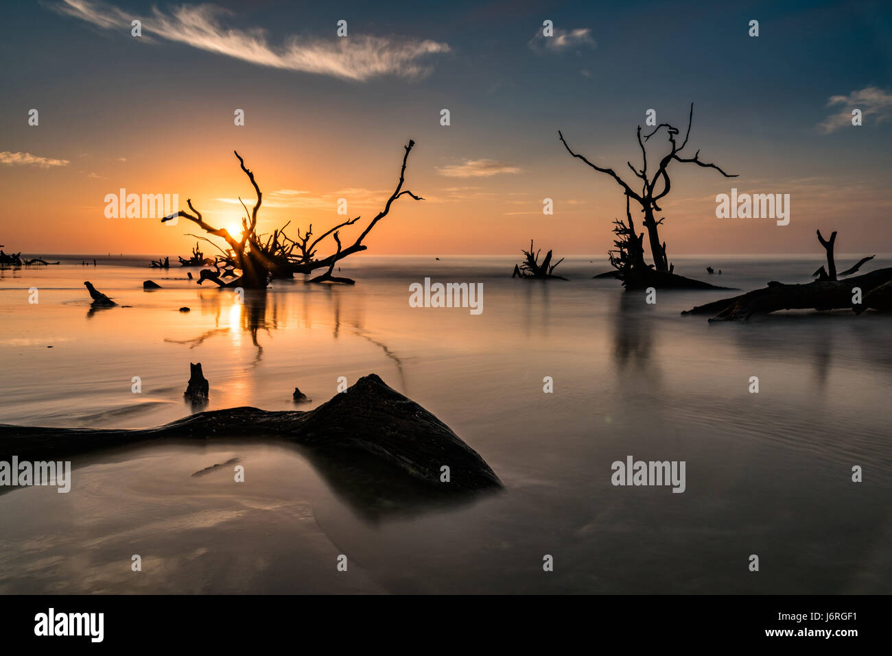 Sunrise over the Boneyard Beach on Bulls Island, South Carolina. Bulls ...