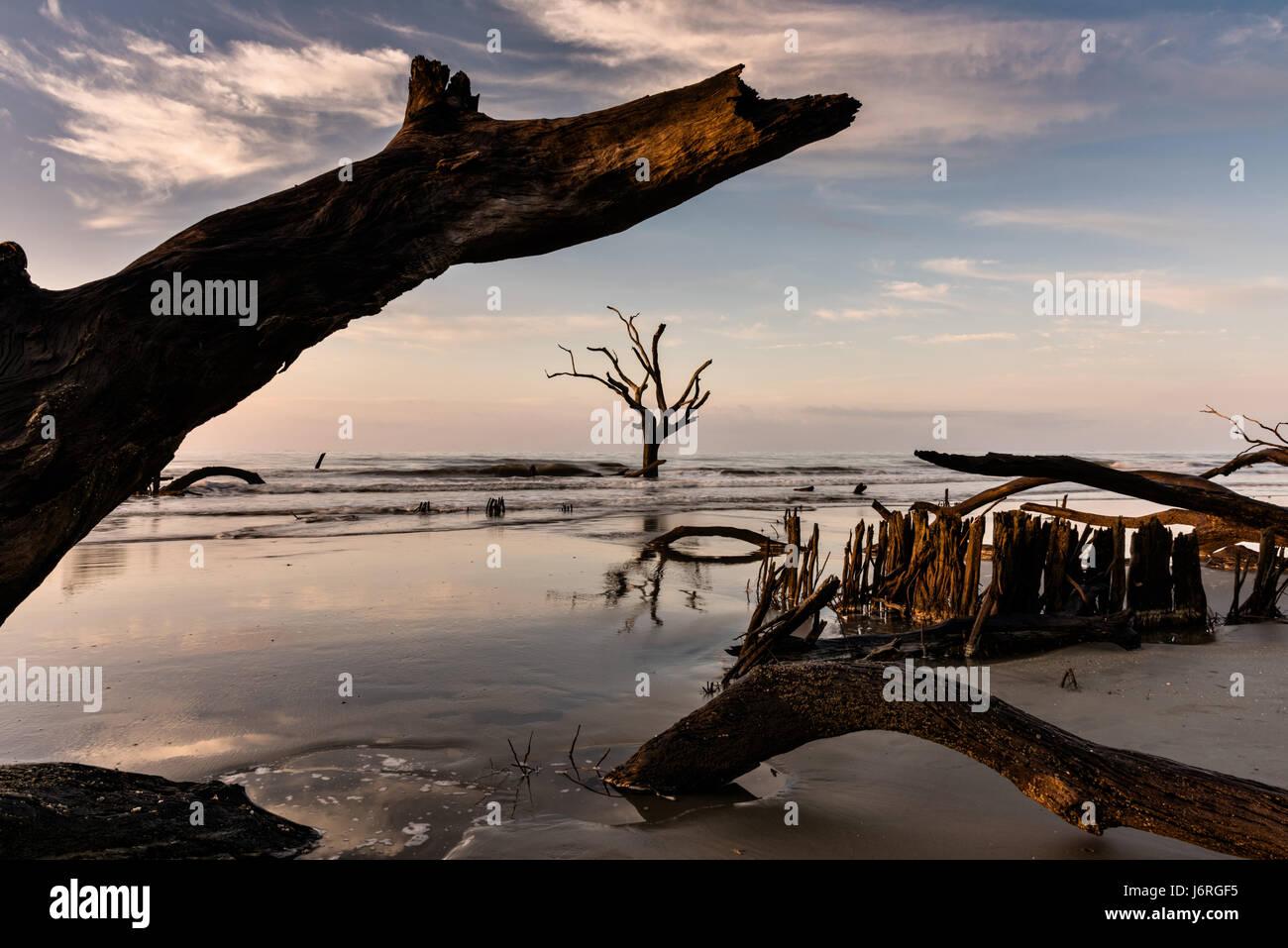 Sunrise over the Boneyard Beach on Bulls Island, South Carolina. Bulls ...