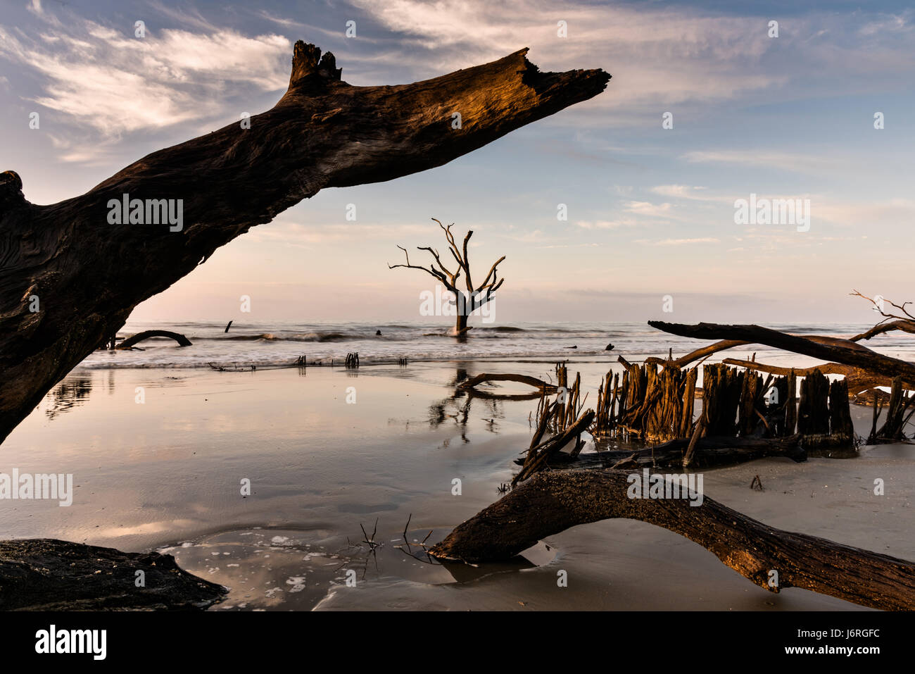 Sunrise over the Boneyard Beach on Bulls Island, South Carolina. Bulls ...