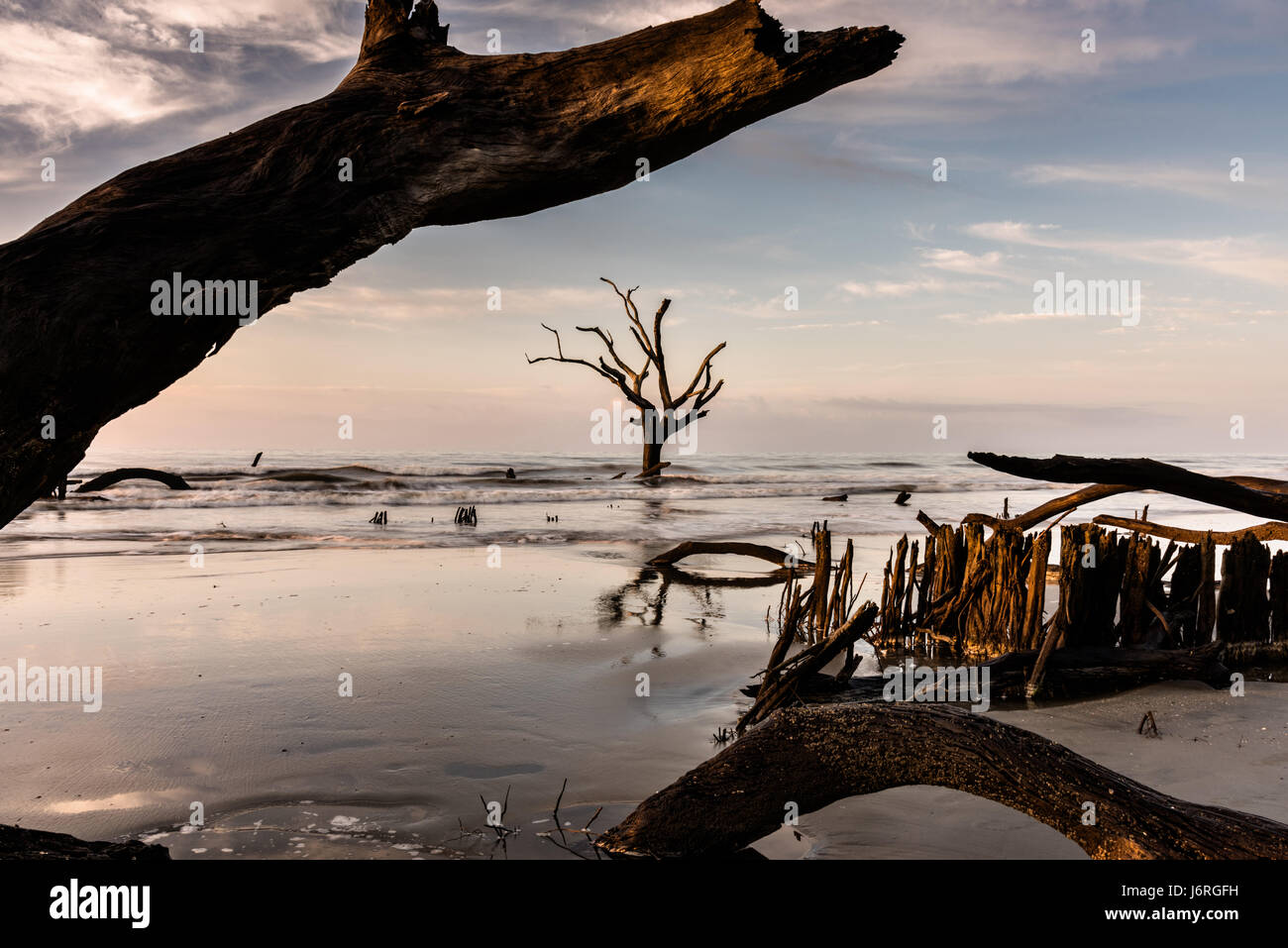 Sunrise over the Boneyard Beach on Bulls Island, South Carolina. Bulls ...