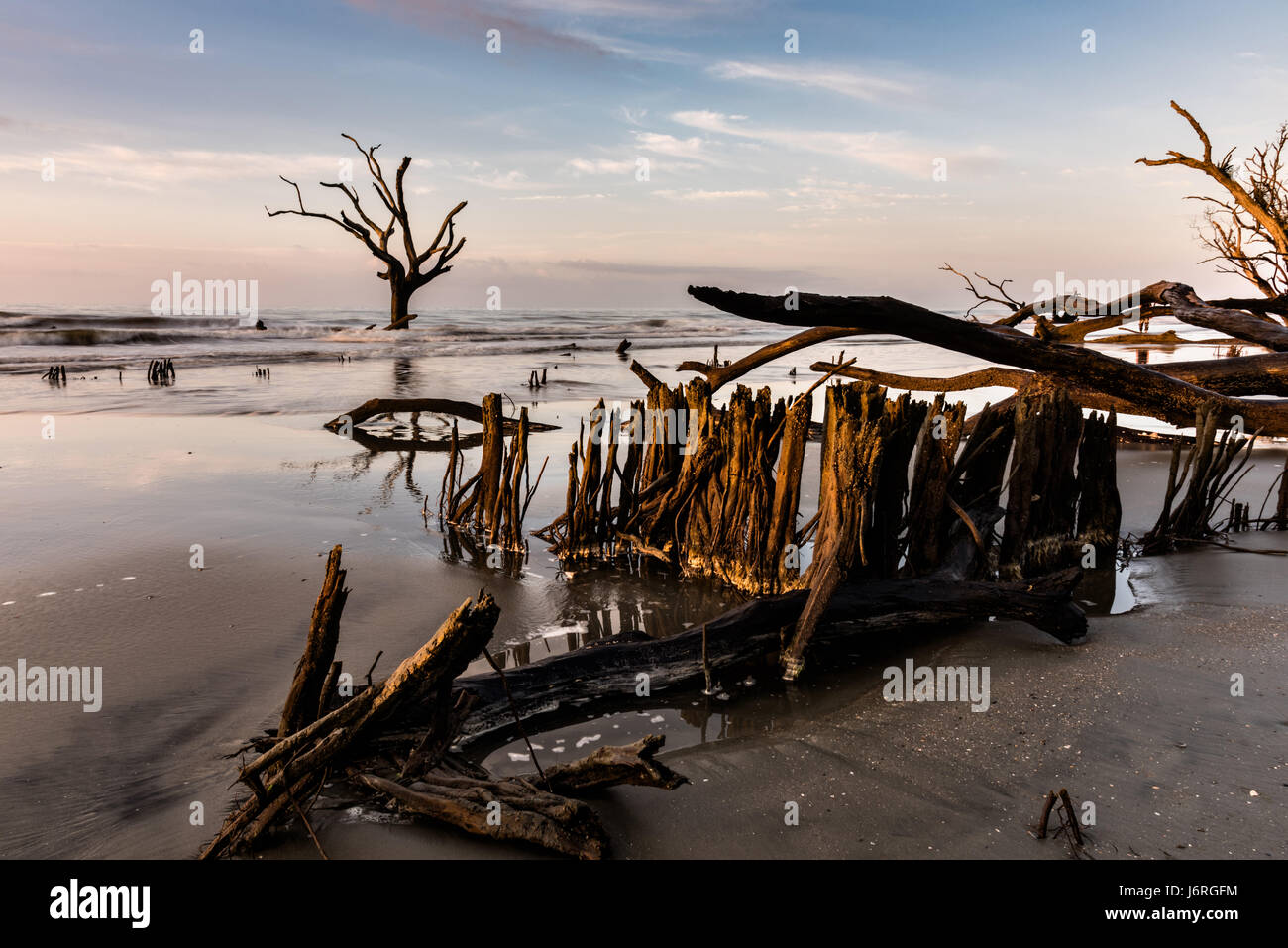 Sunrise over the Boneyard Beach on Bulls Island, South Carolina. Bulls ...