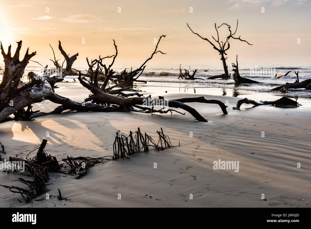 Sunrise over the Boneyard Beach on Bulls Island, South Carolina. Bulls ...