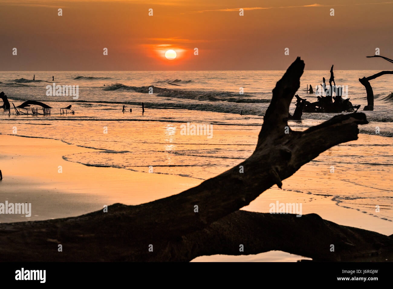Sunrise over the Boneyard Beach on Bulls Island, South Carolina. Bulls ...