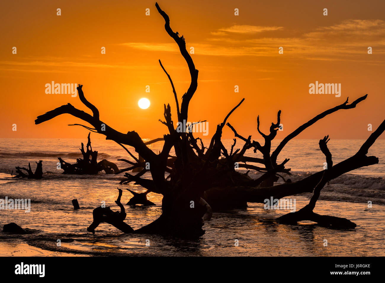 Sunrise over the Boneyard Beach on Bulls Island, South Carolina. Bulls ...