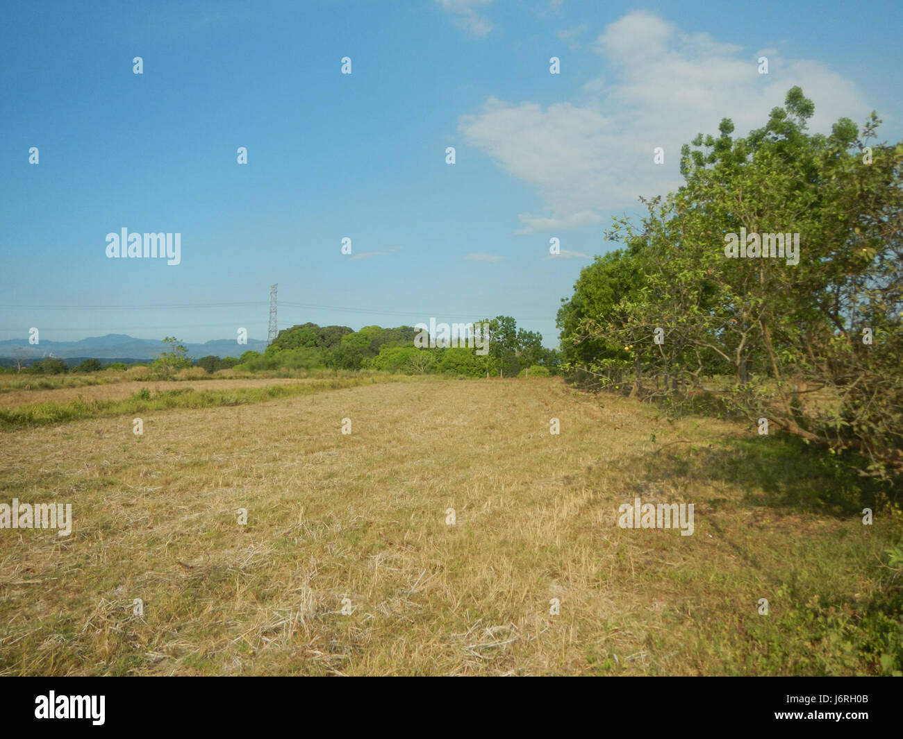 San Rafael in Bulacan, Philippines, is known for its rural landscapes ...