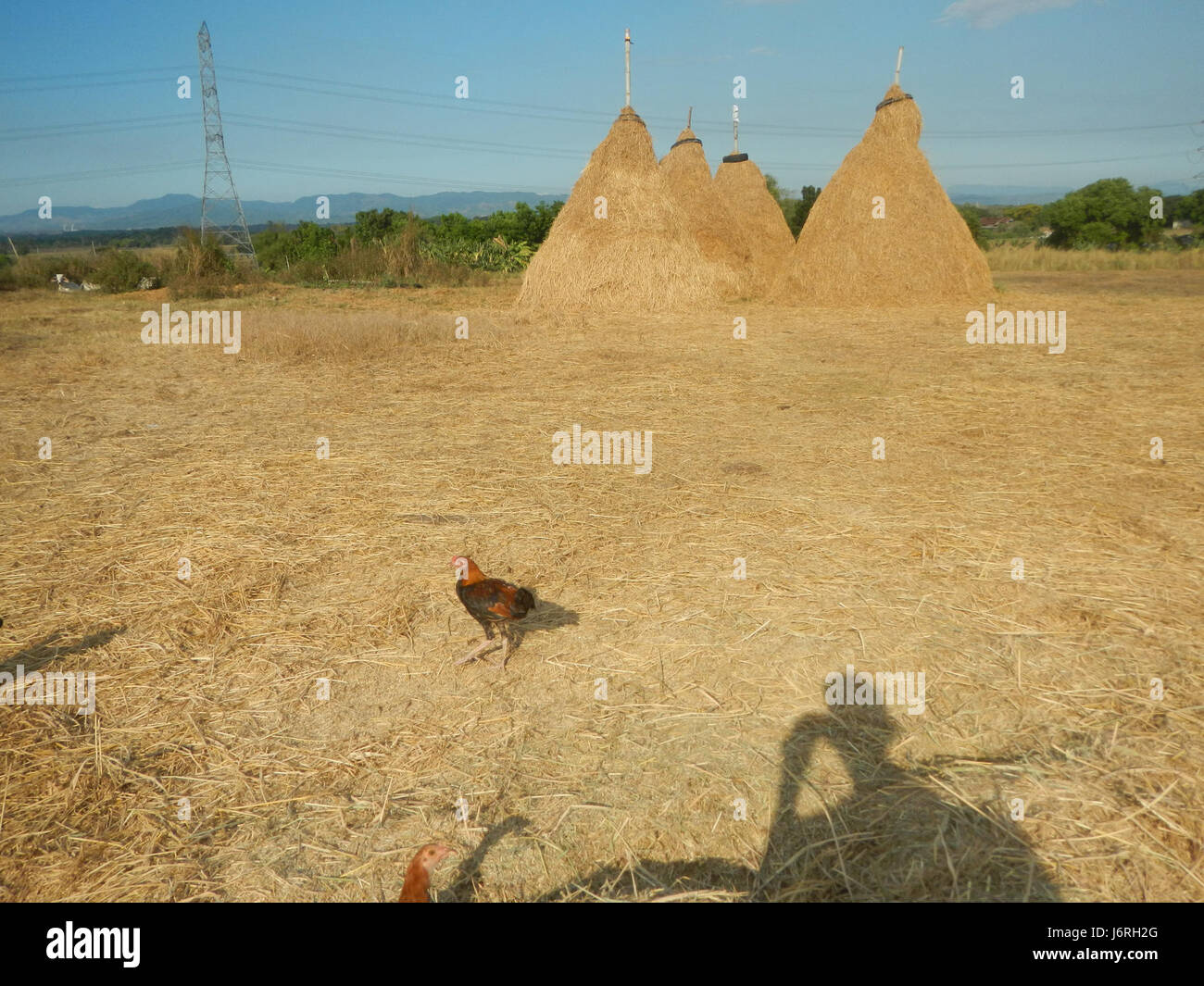 This image features the rural landscape of San Rafael, Bulacan ...
