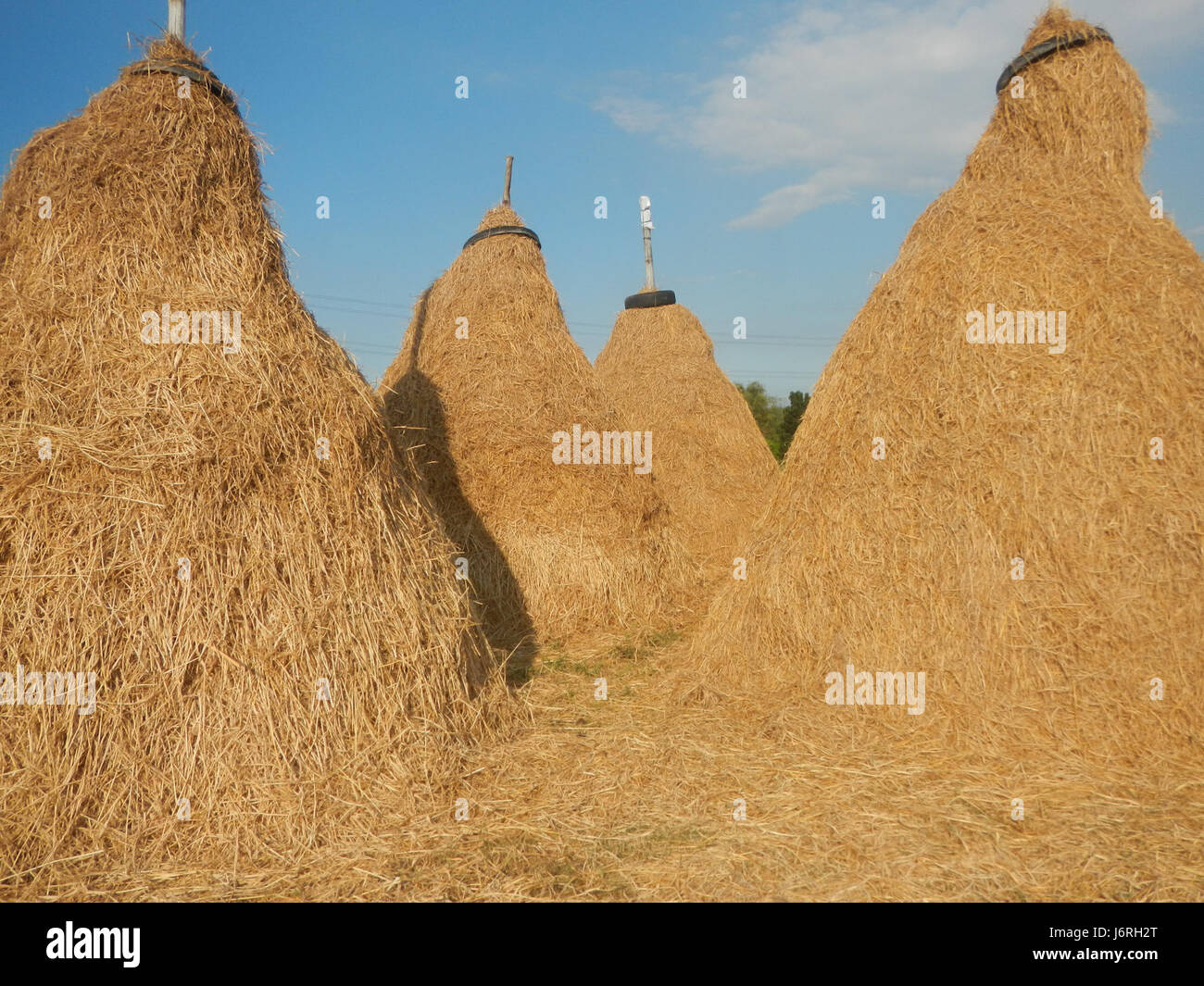 09886 San Rafael Ildefonso Bulacan Municipal Roads Landscapes Barangays ...