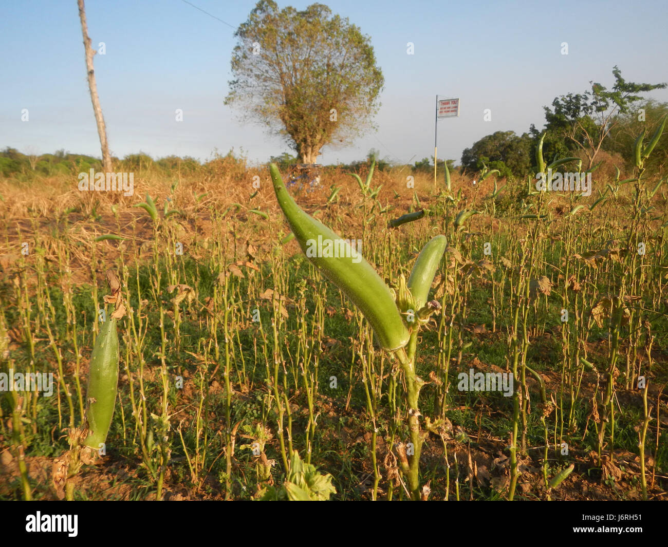 09886 San Rafael Ildefonso Bulacan Municipal Roads Landscapes Barangays ...