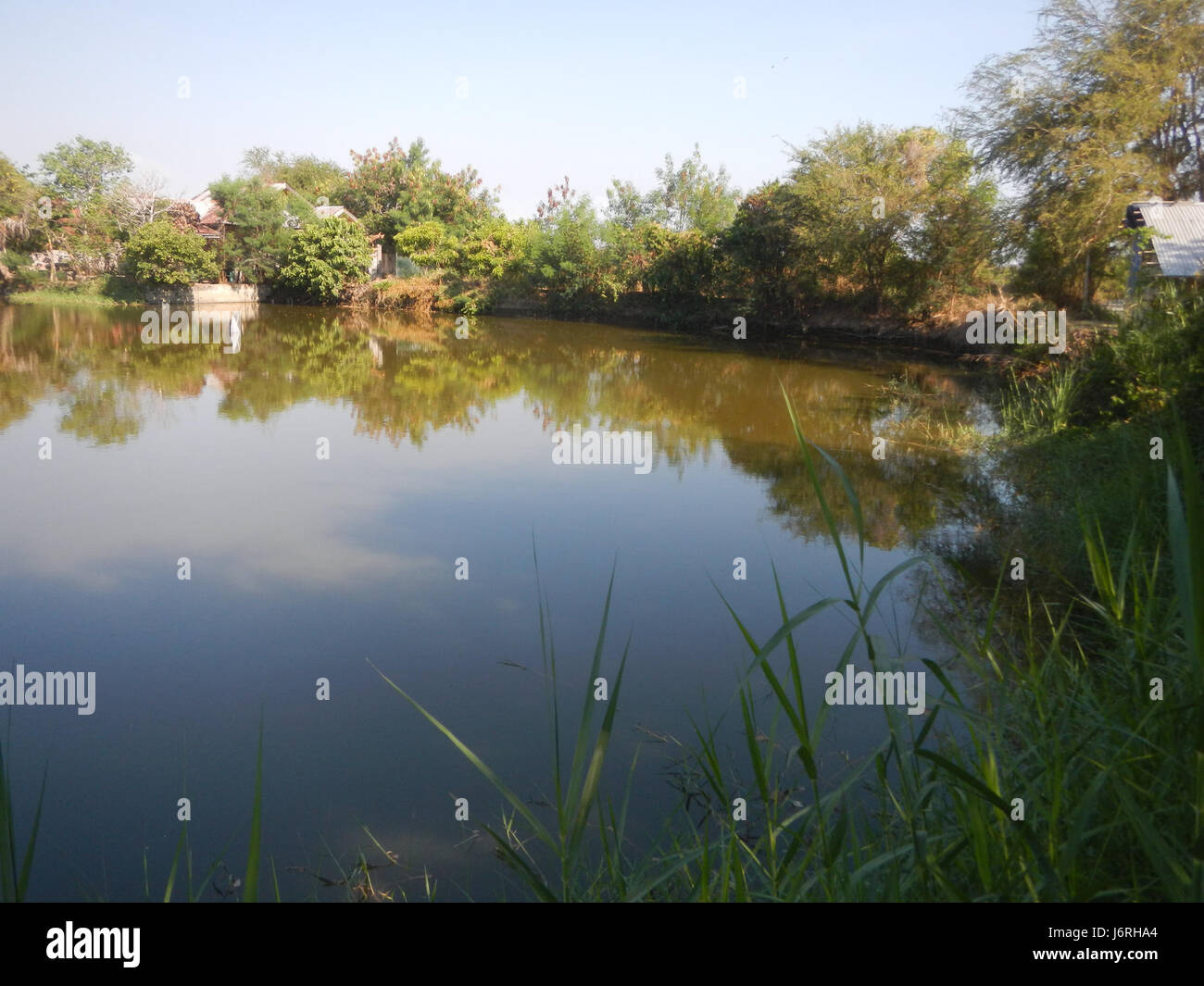 Fishponds park hi-res stock photography and images - Alamy