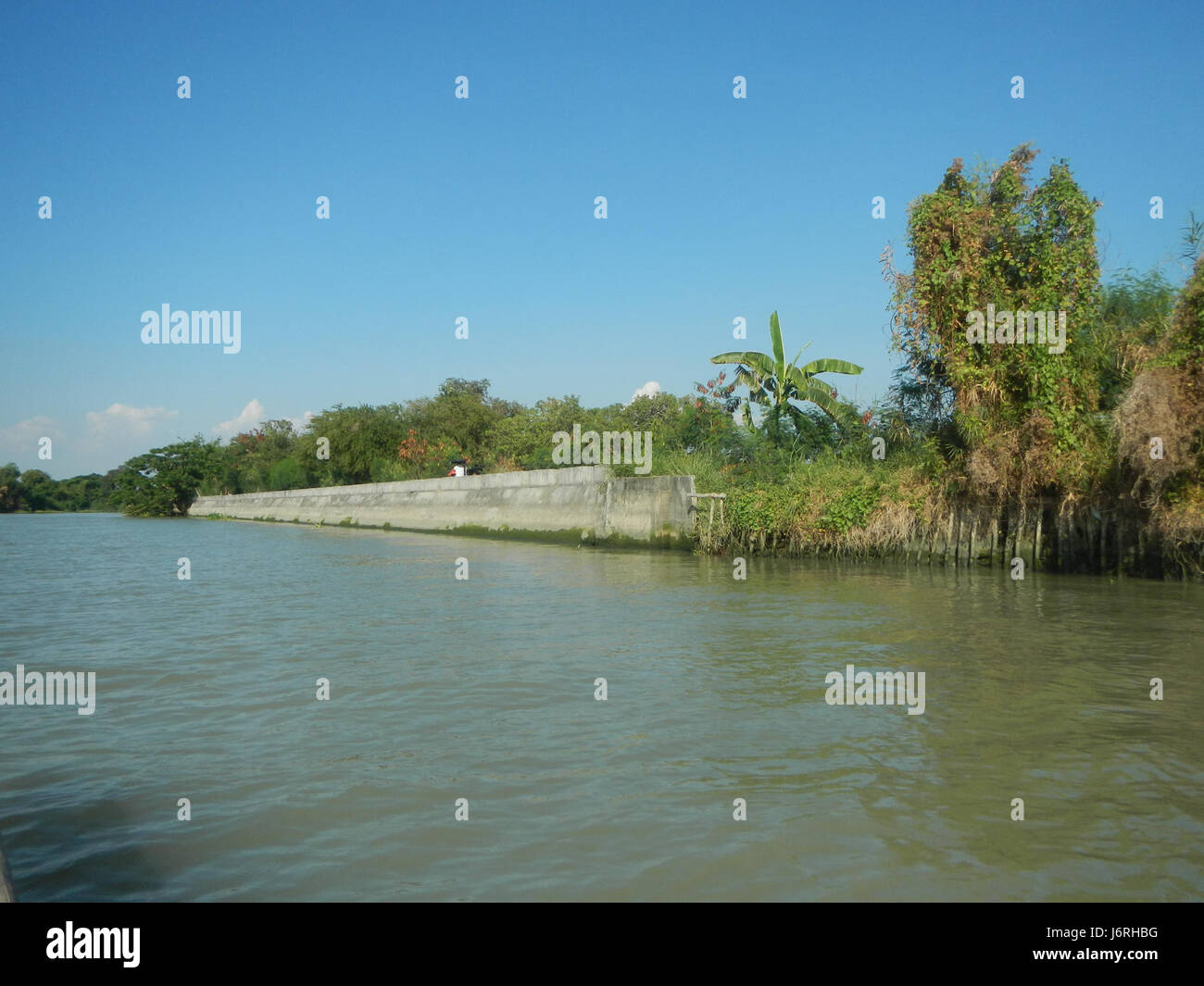 This photograph captures the river districts of Candelaria Delta in ...
