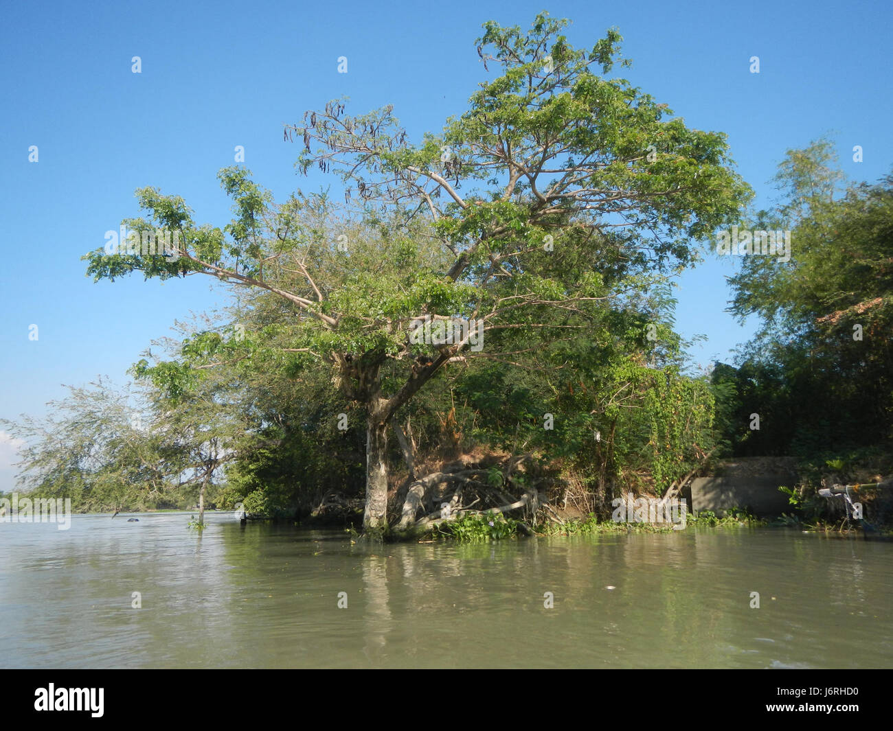 09431 River Districts Candelaria Delta Macabebe Pampanga 31 Stock Photo ...