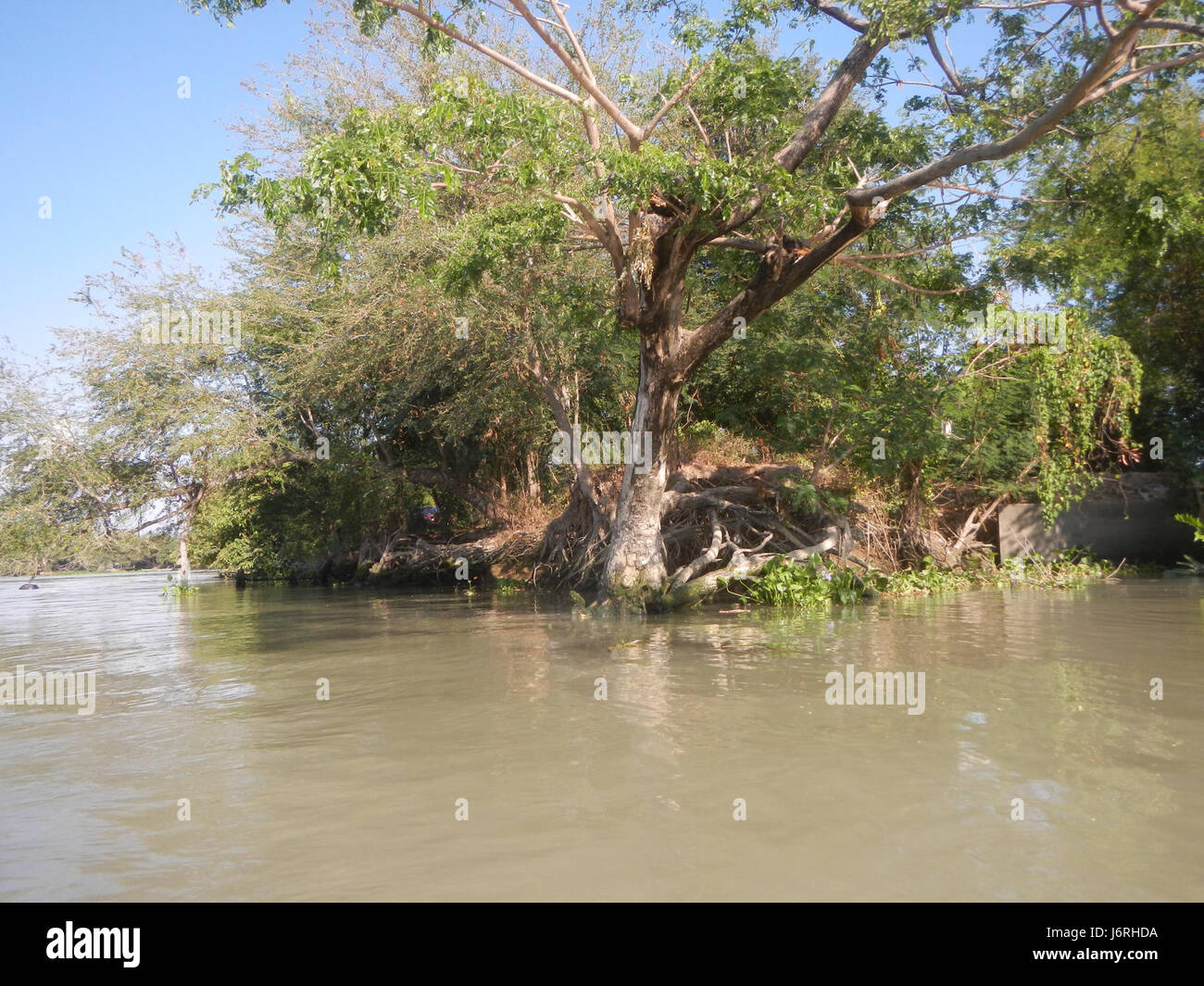 The River Districts in Candelaria Delta, Macabebe, Pampanga, are part ...