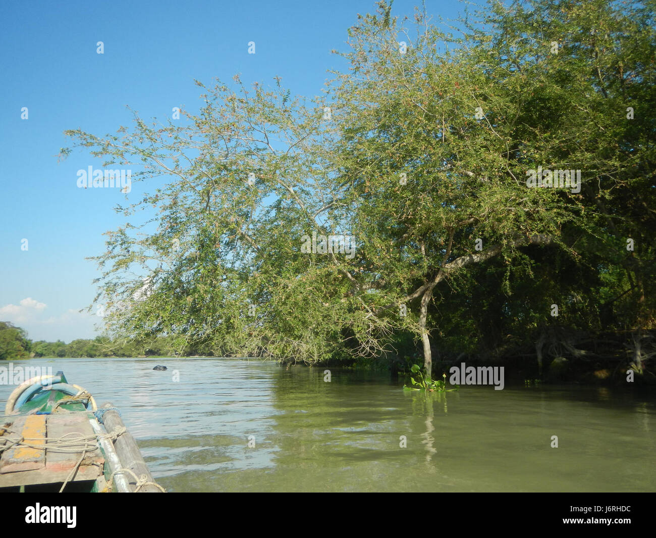 This image shows the river districts in Candelaria Delta, Macabebe ...