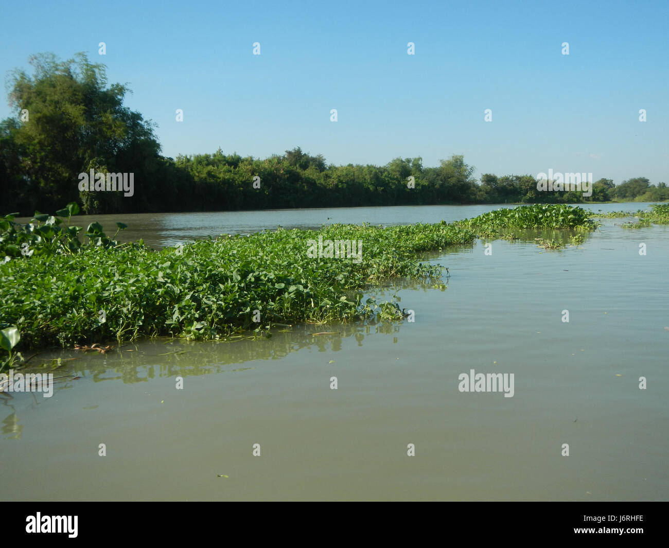 Pampanga delta hi-res stock photography and images - Alamy