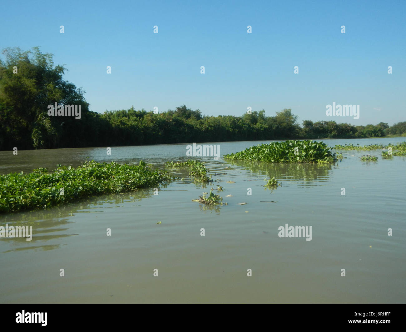 09480 River Districts Candelaria Delta Macabebe Pampanga 34 Stock Photo ...