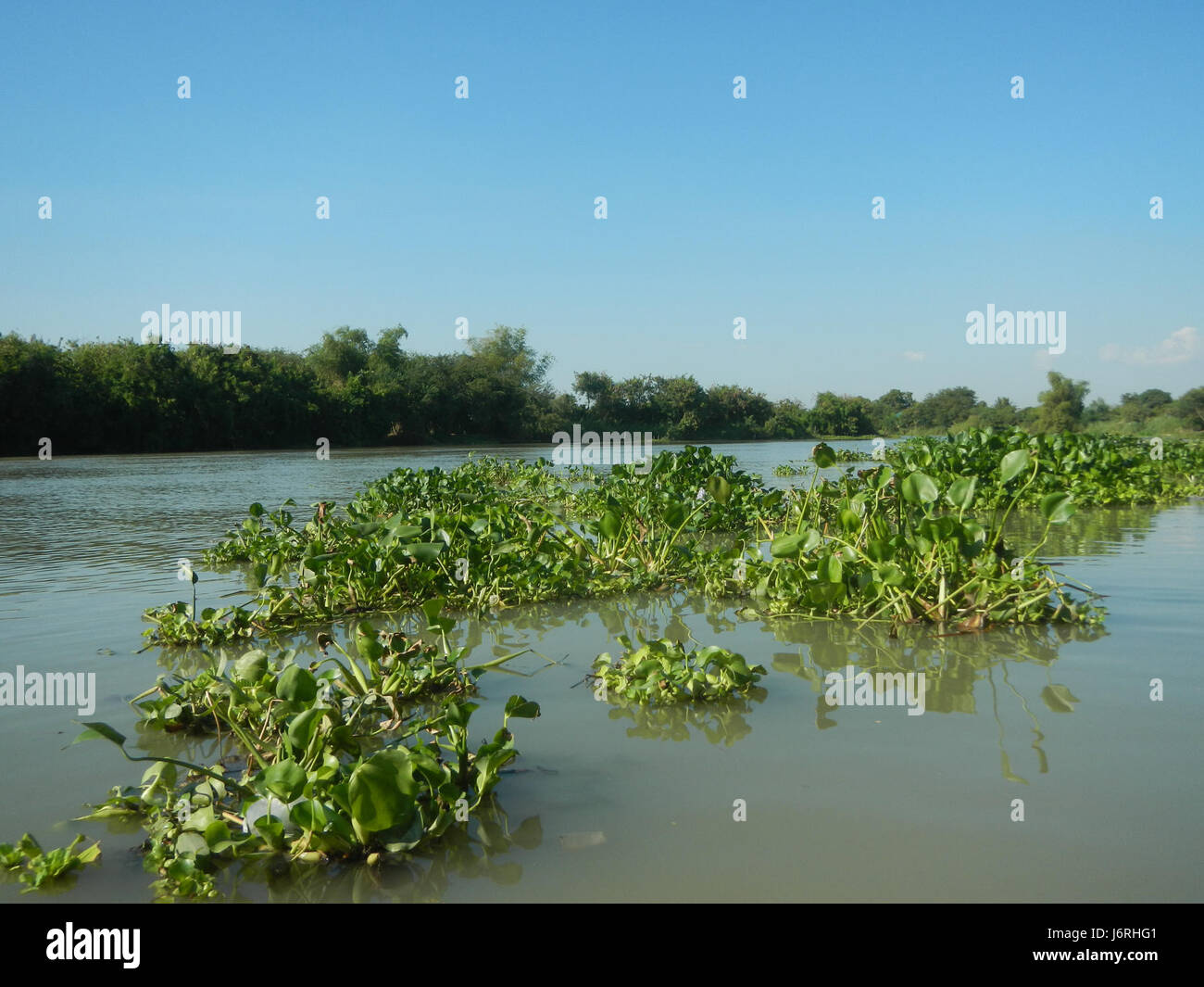 09480 River Districts Candelaria Delta Macabebe Pampanga 44 Stock Photo ...