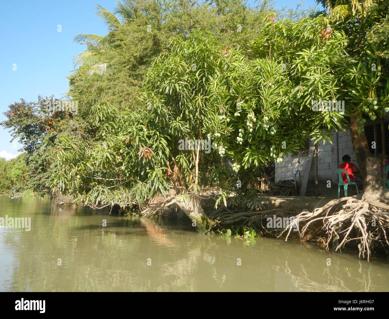 This reference describes the river districts in the Candelaria Delta ...