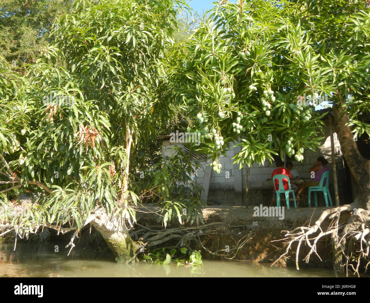 This map shows the River Districts of Candelaria and the Delta area in ...