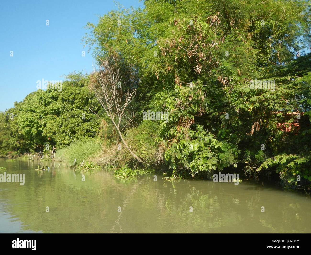 This image showcases the River Districts of Candelaria Delta in ...