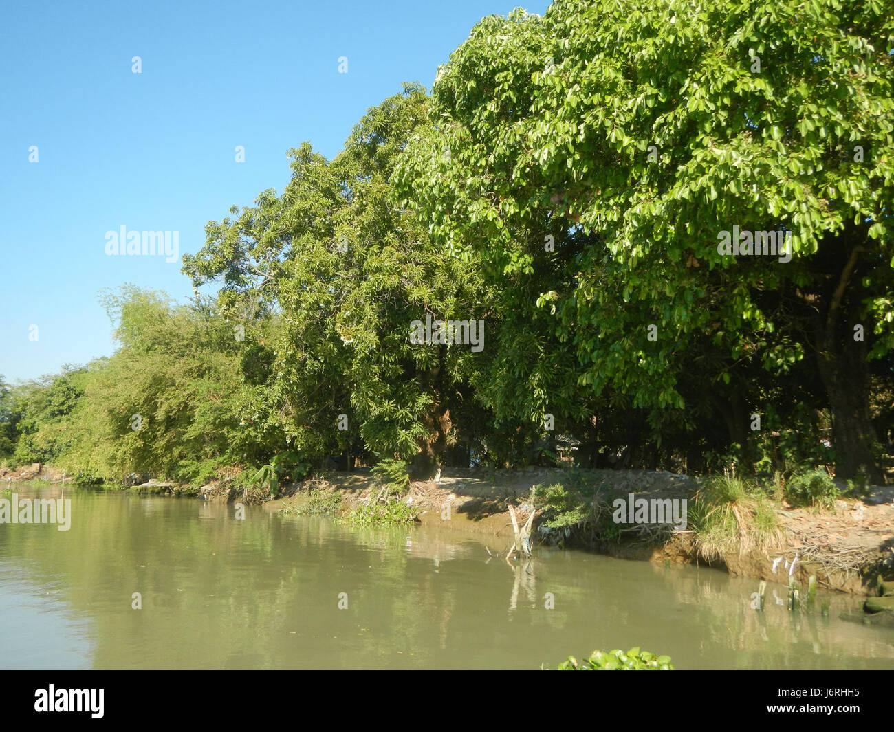 This image depicts the river districts of Candelaria Delta in Macabebe ...