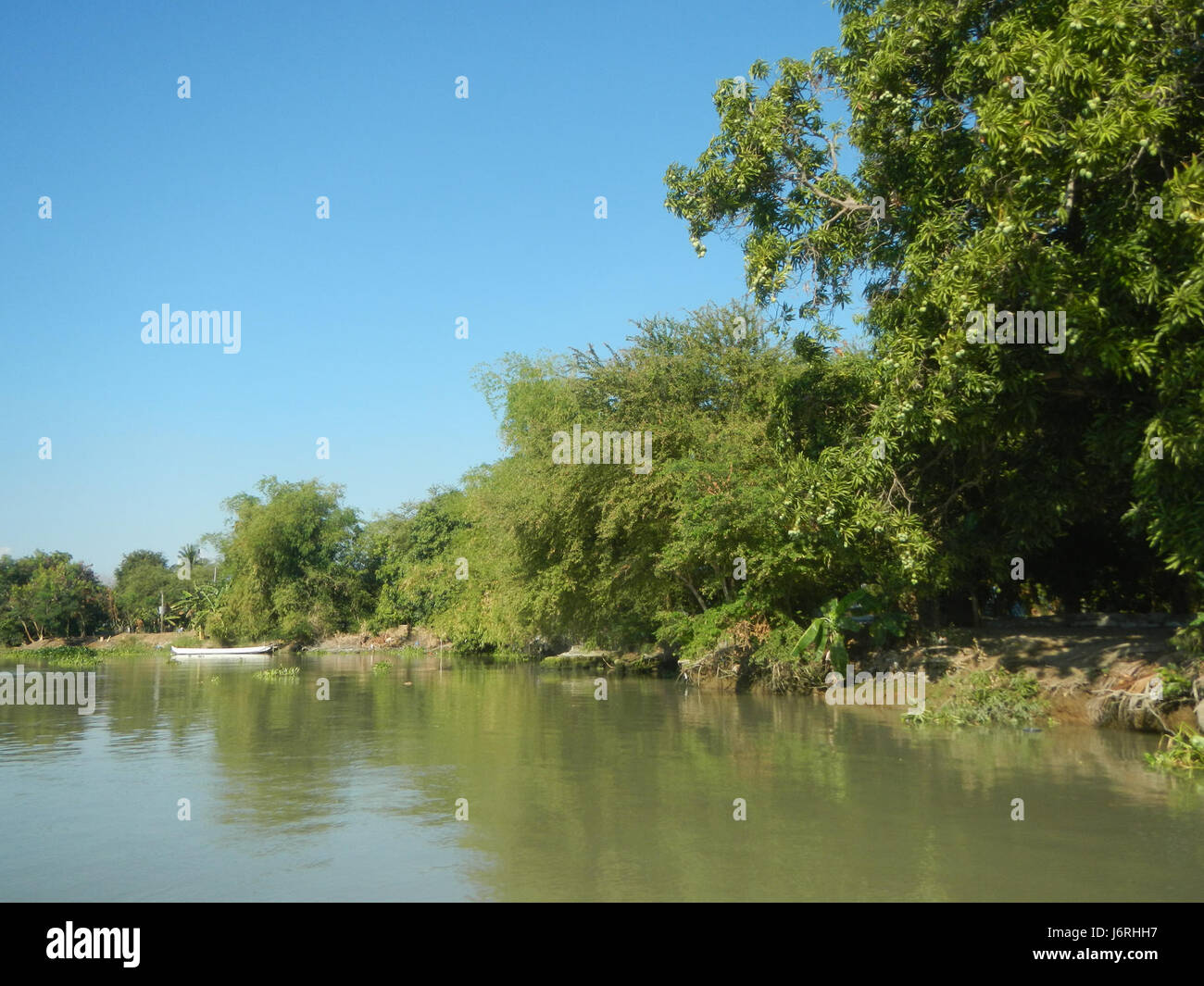 The river districts of Candelaria and Delta in Macabebe, Pampanga, are ...