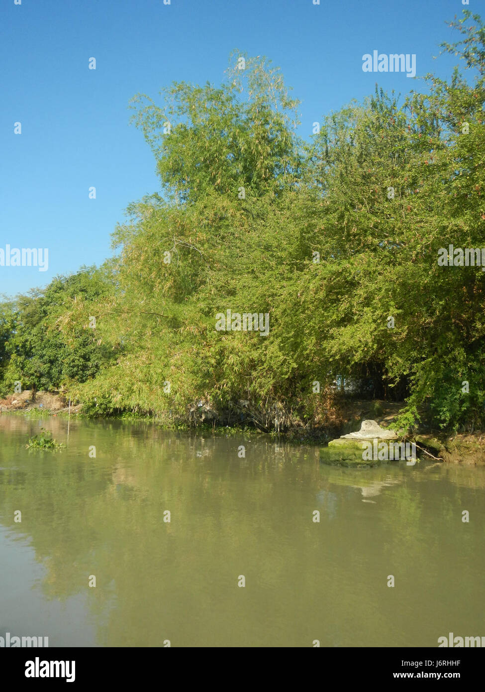 This refers to the river districts in the Candelaria Delta, located in ...