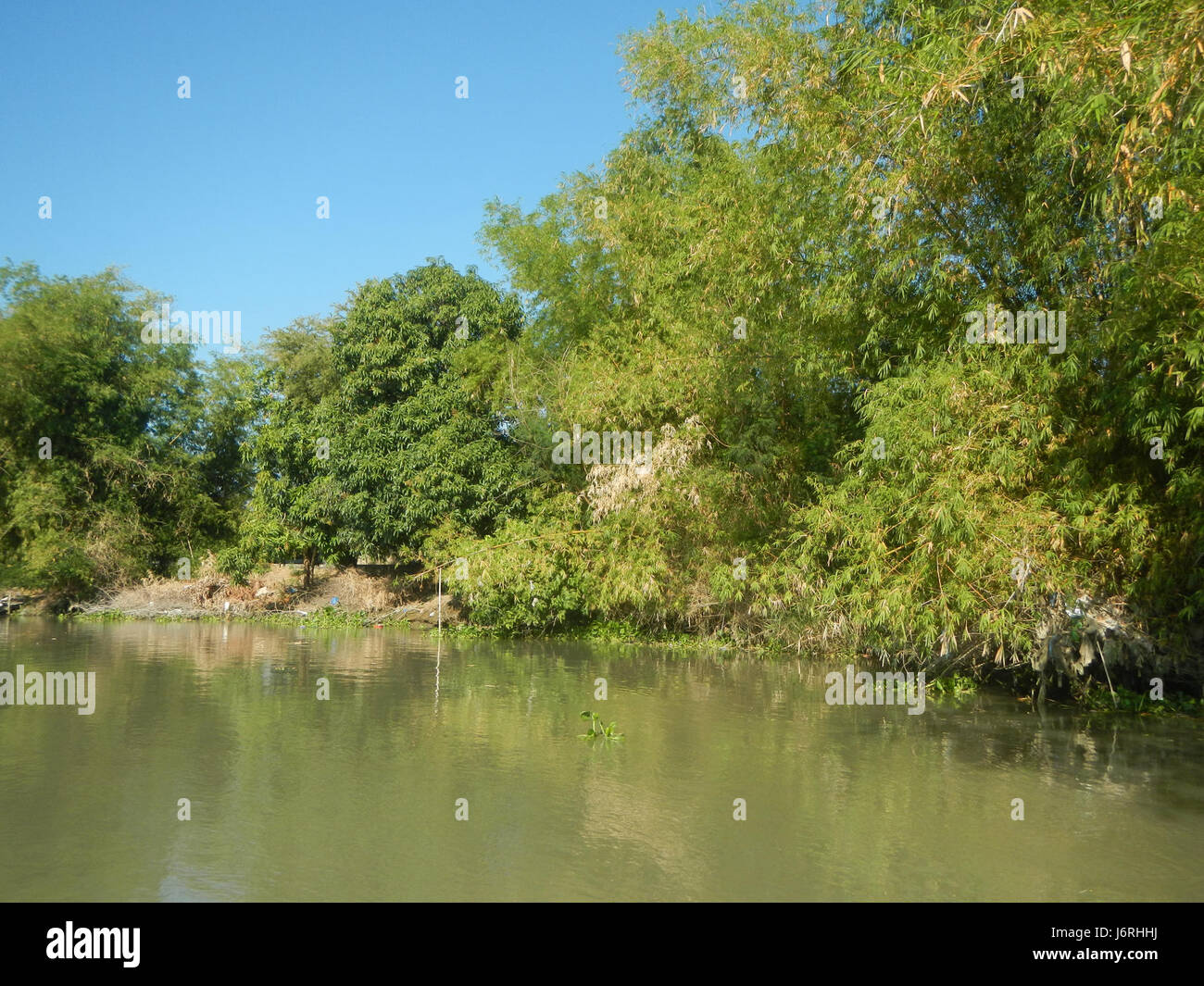 A view of the river districts in Candelaria and Delta Macabebe, located ...