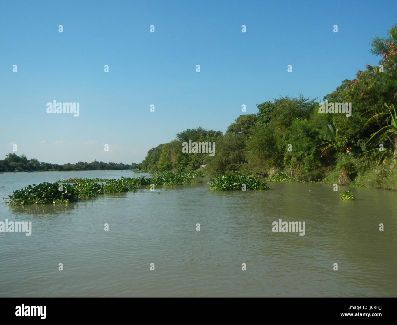 09575 River Districts Candelaria Delta Macabebe Pampanga 03 Stock Photo ...
