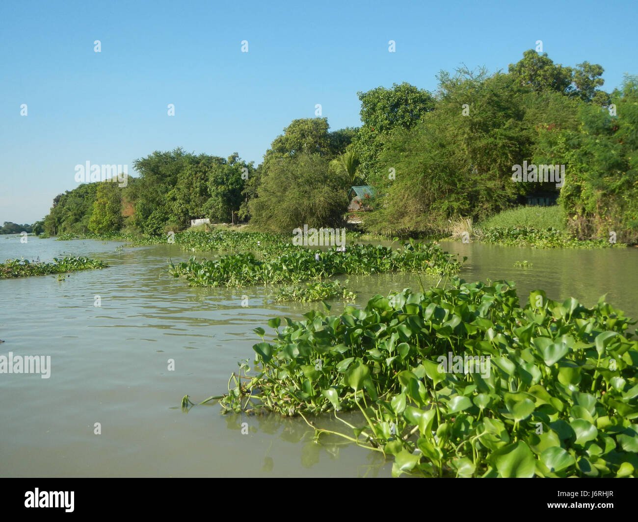 The River Districts of Candelaria, located in the Macabebe Delta ...