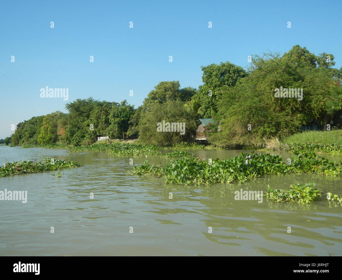 09575 River Districts Candelaria Delta Macabebe Pampanga 08 Stock Photo ...