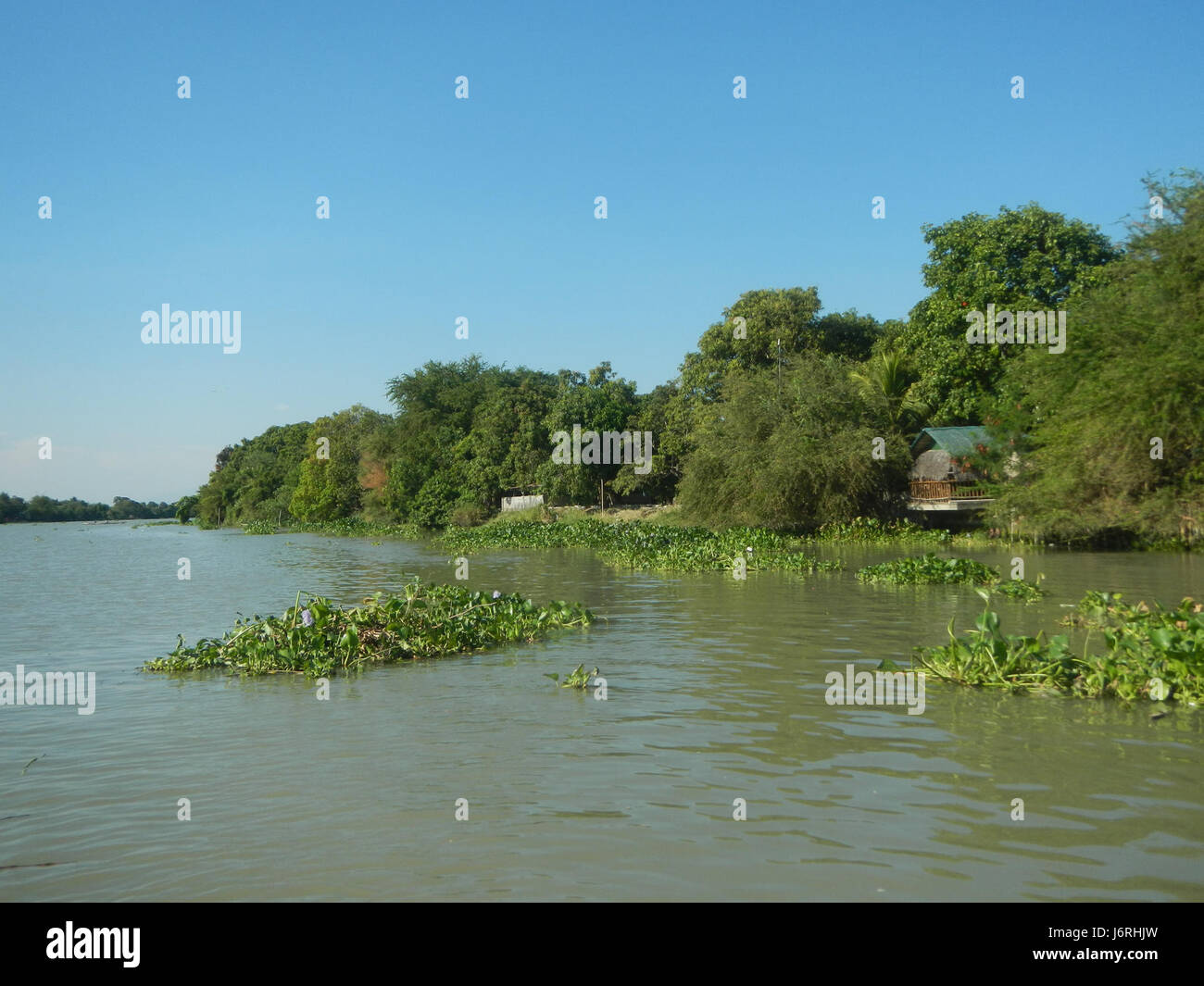 09575 River Districts Candelaria Delta Macabebe Pampanga 09 Stock Photo ...
