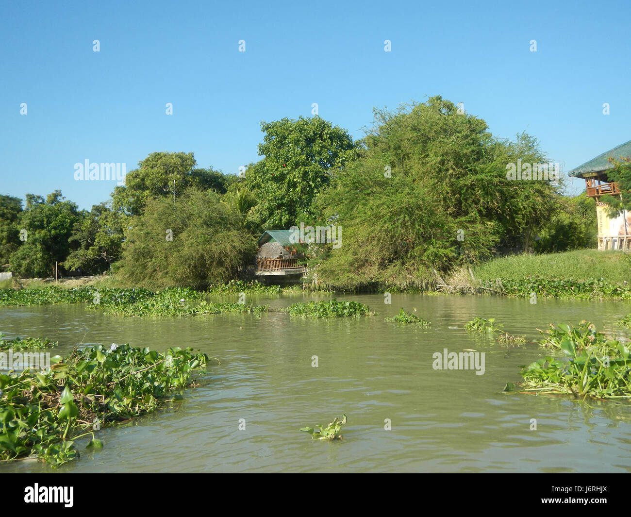 09575 River Districts Candelaria Delta Macabebe Pampanga 10 Stock Photo ...