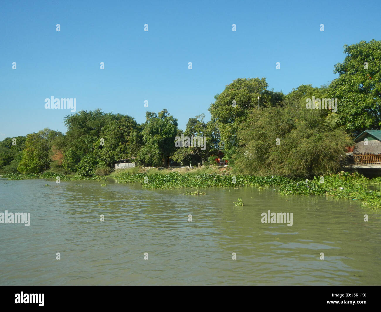 This image highlights the river districts of Candelaria Delta in ...