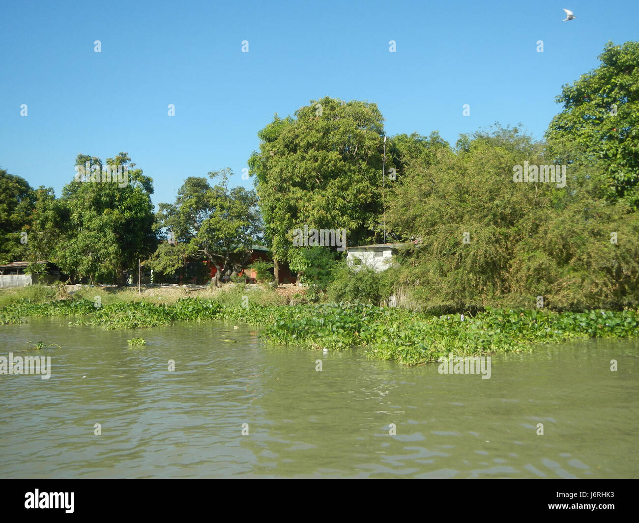 The River Districts in Candelaria and Macabebe, Pampanga, are notable ...