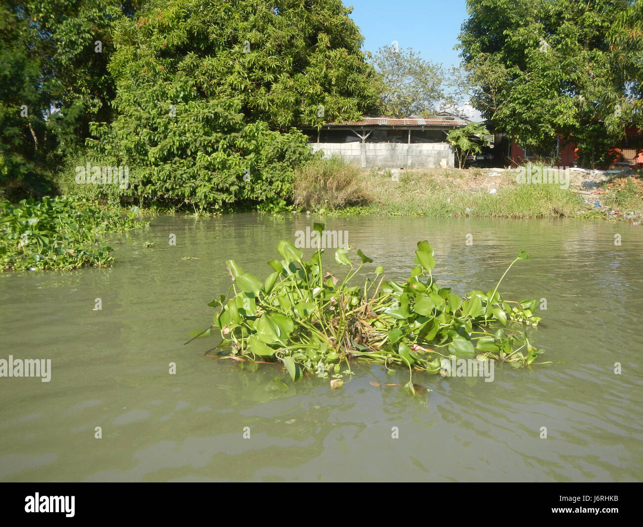 This photograph depicts the river districts of Candelaria Delta and ...