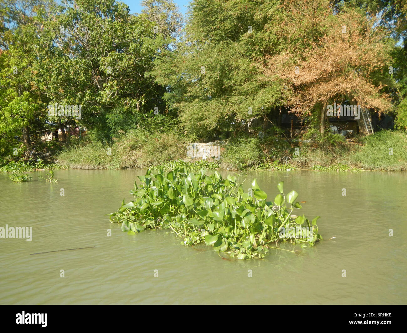 The River Districts of Candelaria Delta in Macabebe, Pampanga, are a ...