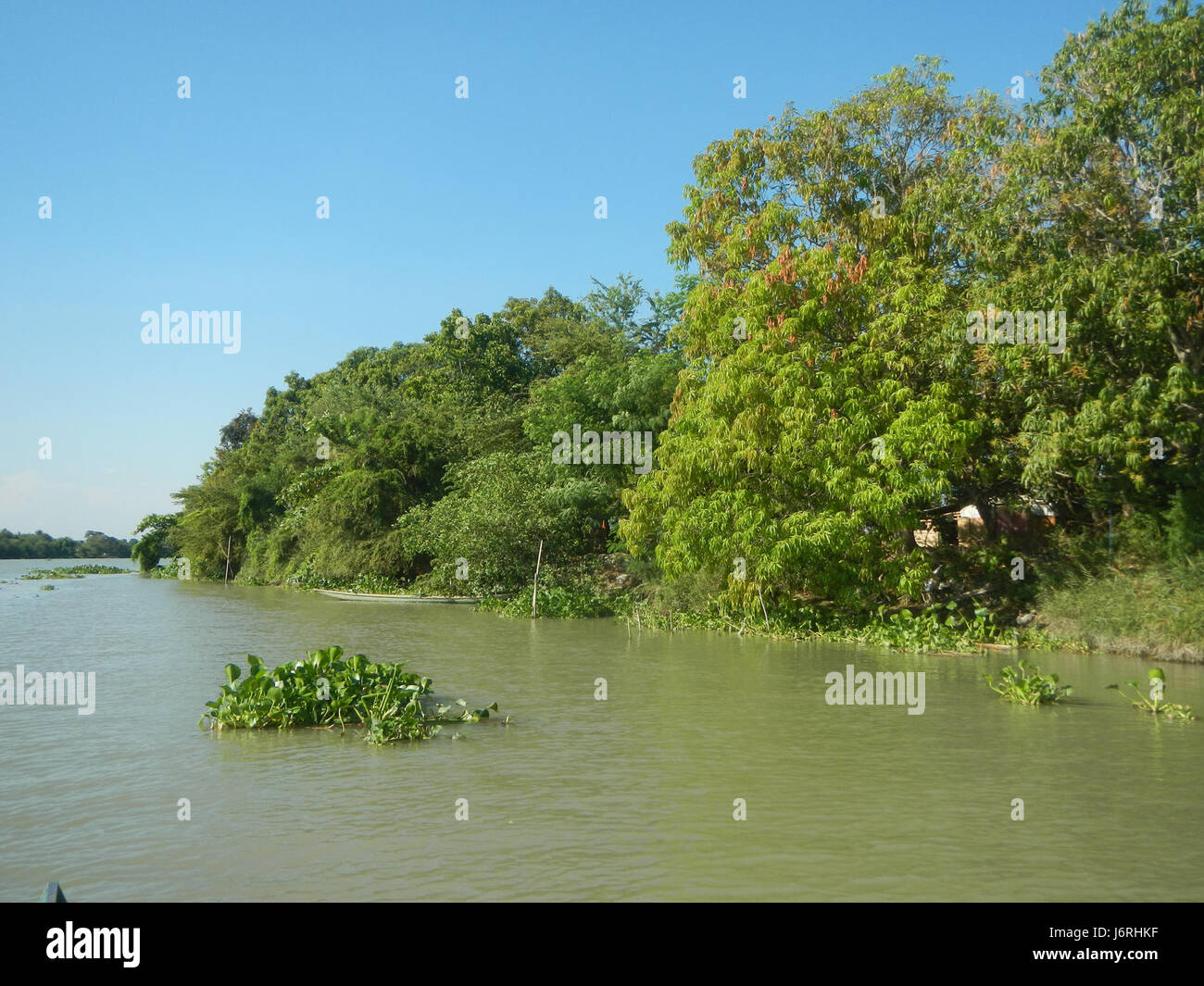 09575 River Districts Candelaria Delta Macabebe Pampanga 25 Stock Photo ...
