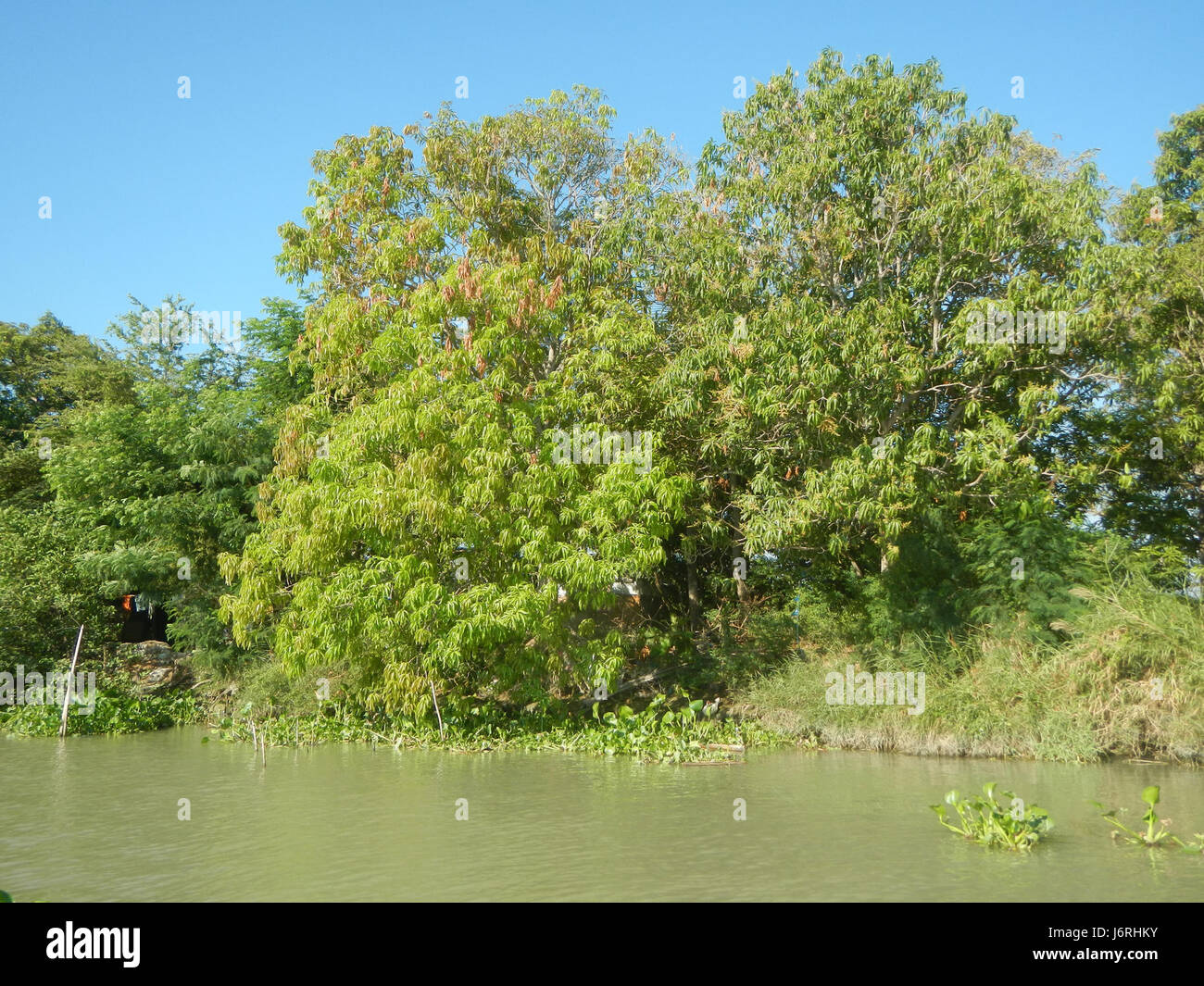 The River Districts of Candelaria Delta in Macabebe, Pampanga ...