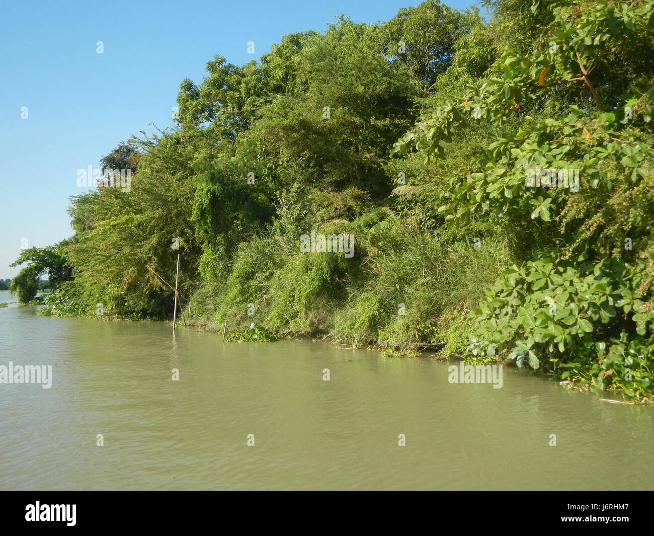 Pampanga delta hi-res stock photography and images - Alamy