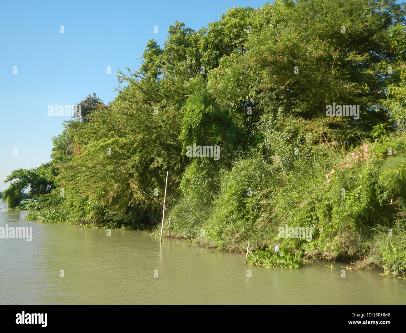 Pampanga delta hi-res stock photography and images - Alamy