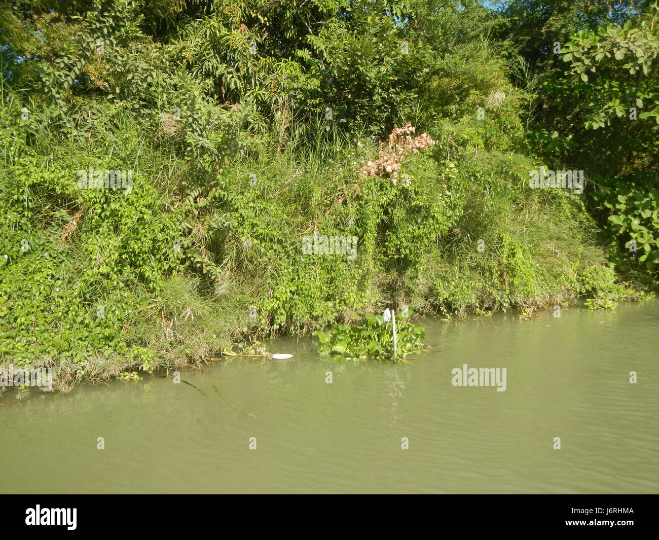 Pampanga delta hi-res stock photography and images - Alamy