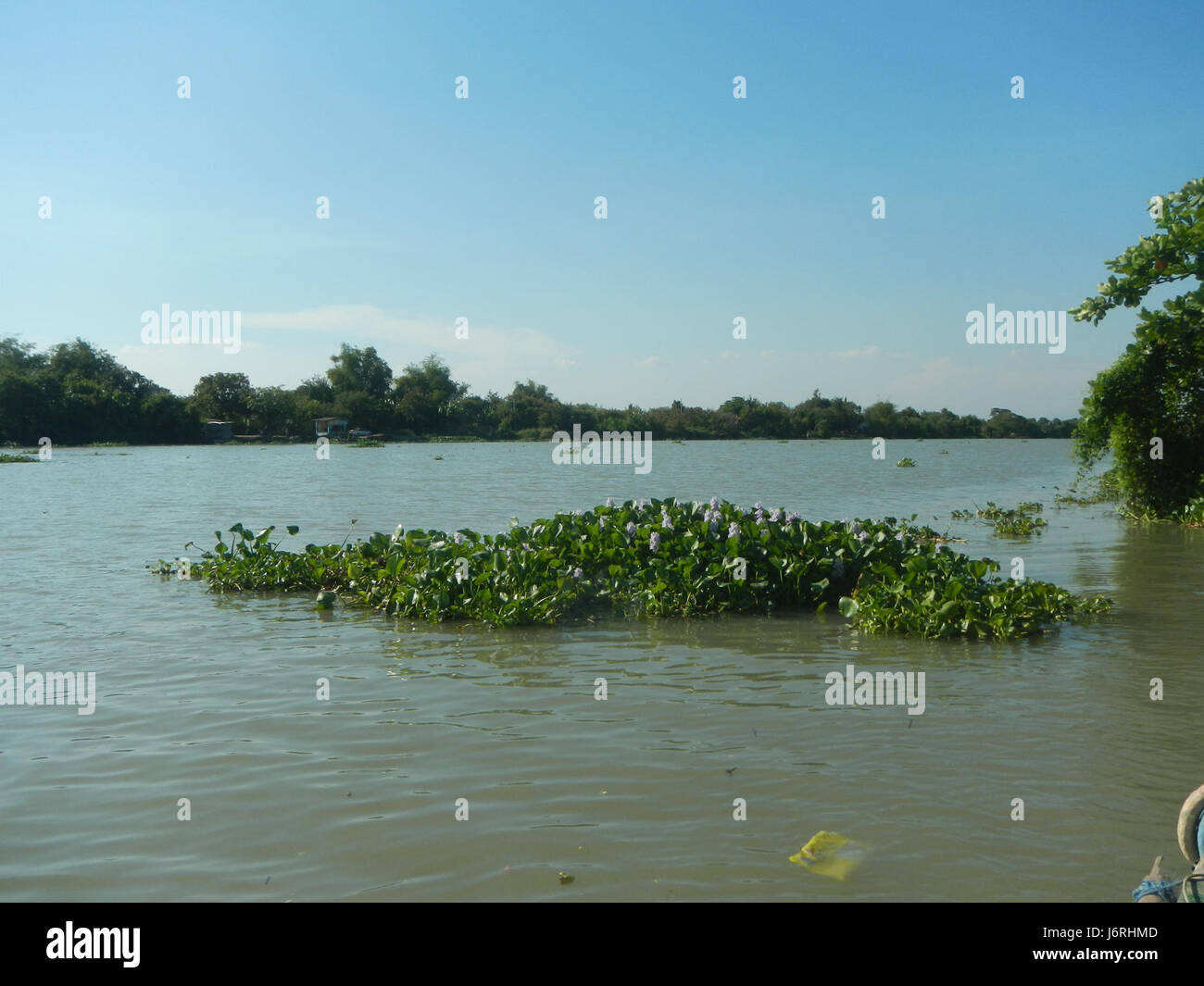 09575 River Districts Candelaria Delta Macabebe Pampanga 38 Stock Photo ...