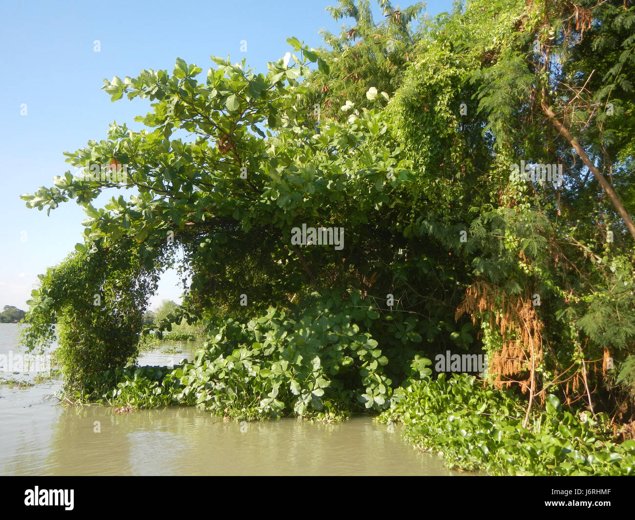 This image depicts the river districts in the Candelaria Delta and ...