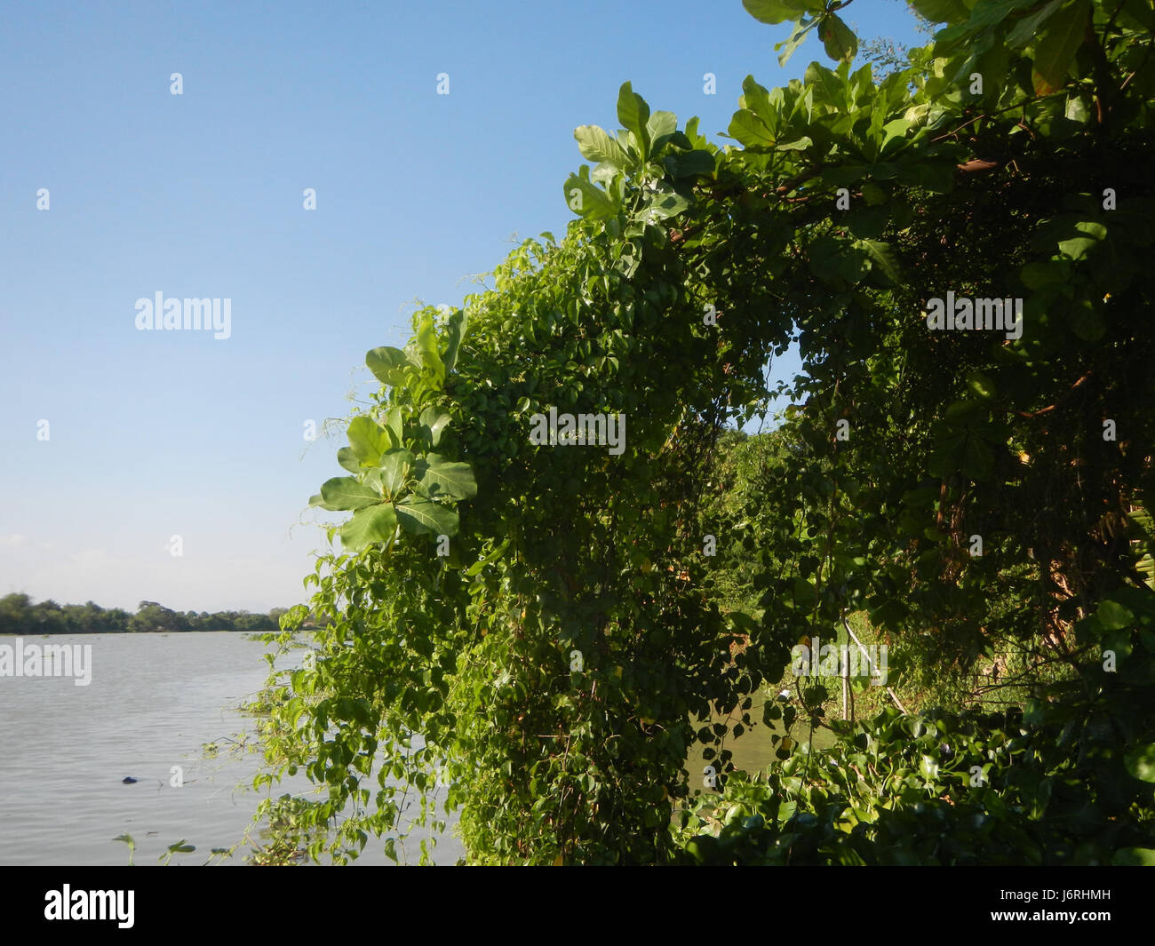 09575 River Districts Candelaria Delta Macabebe Pampanga 42 Stock Photo ...