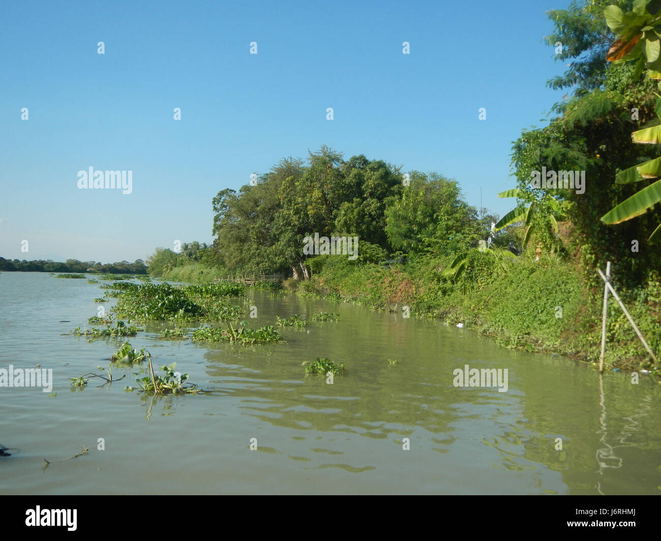 09575 River Districts Candelaria Delta Macabebe Pampanga 43 Stock Photo ...