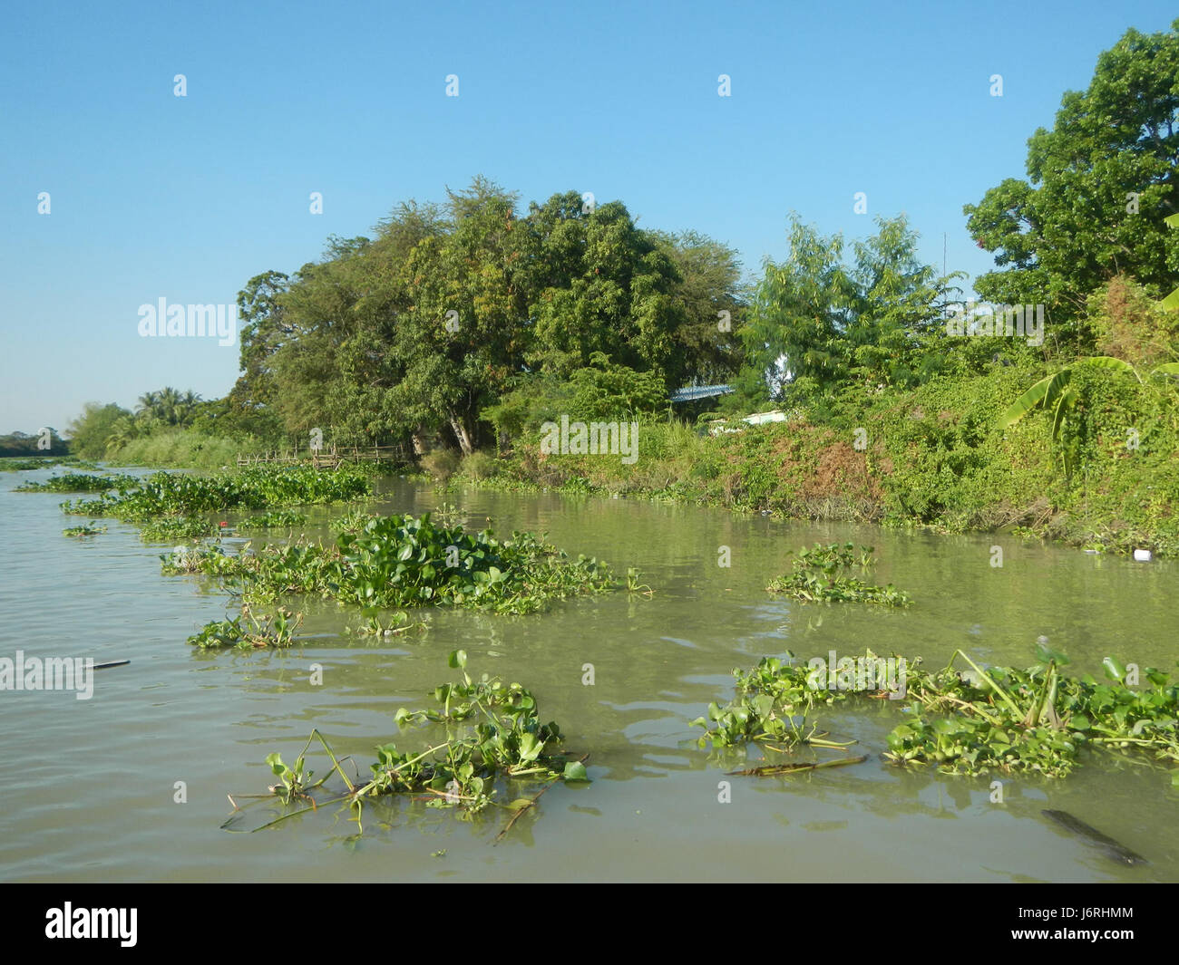 09575 River Districts Candelaria Delta Macabebe Pampanga 45 Stock Photo ...