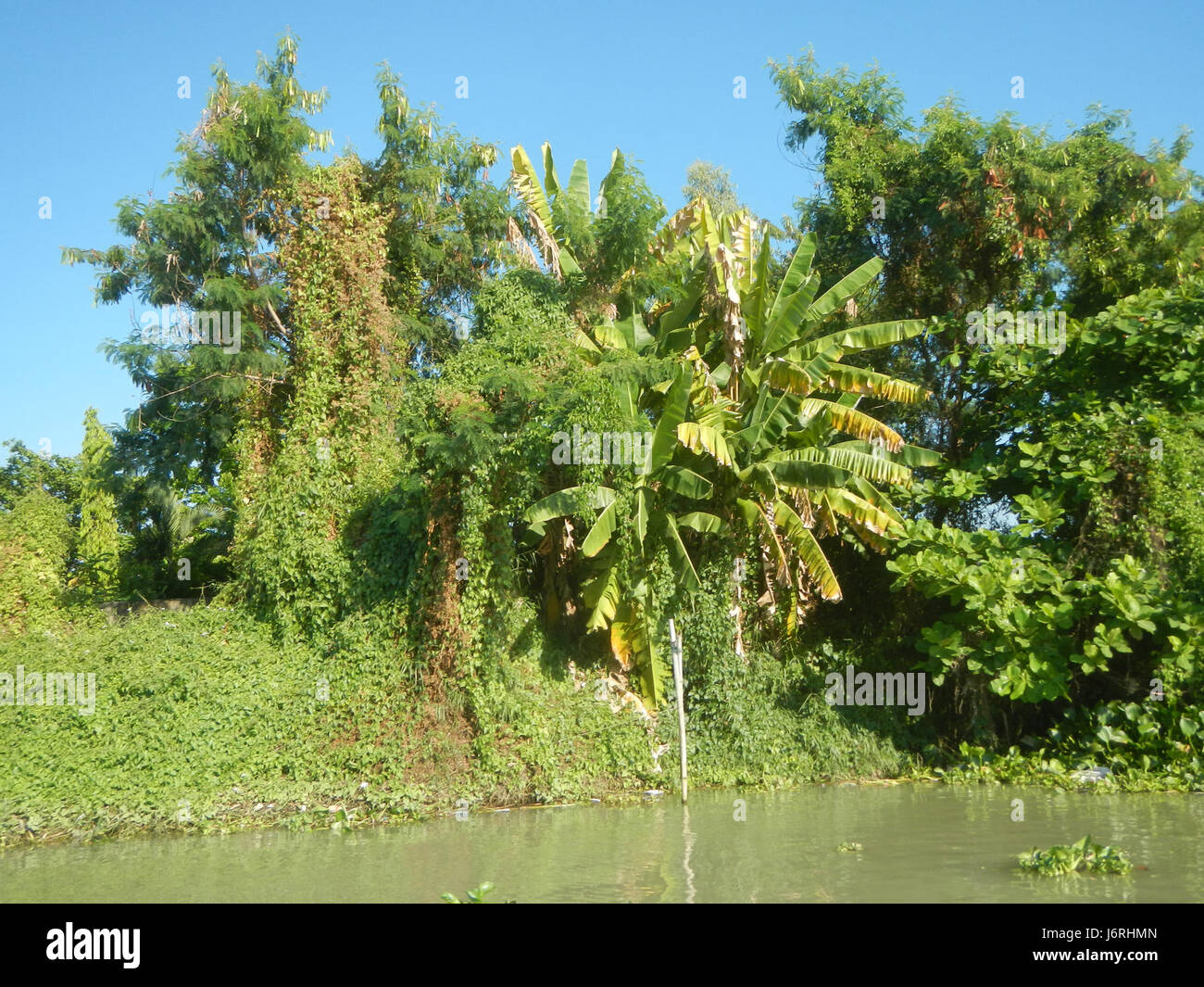 This image shows the river districts of Candelaria Delta in Macabebe ...