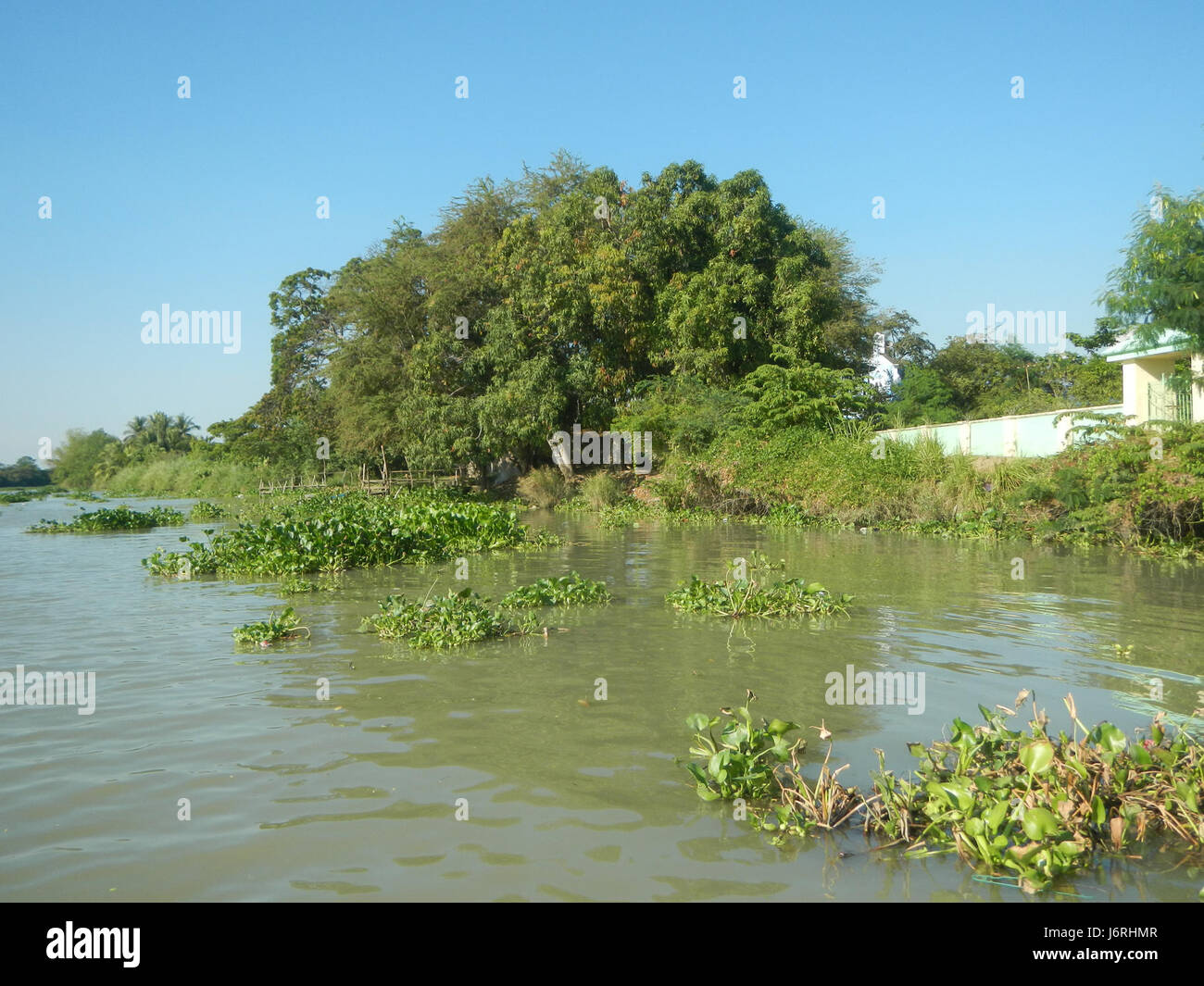 09575 River Districts Candelaria Delta Macabebe Pampanga 47 Stock Photo ...